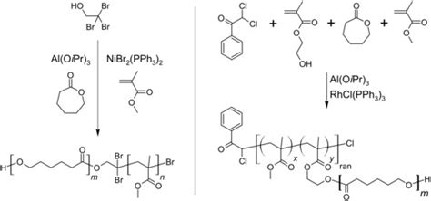 Polymers Special Issue Controlled Polymerization