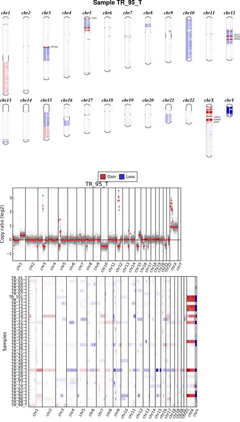 Screenshot Of Cnvkit