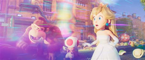 Filepeach Dk And Toad Take Cover Tsmbmpng Super Mario Wiki The