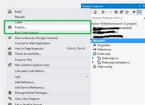 Publish Web Application To Local Server