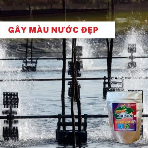 Review Men Vi Sinh Phân Hủy đáy Làm Trong Nước Xử Lý Nước ức Chế Tảo Xử Lý Nhớt Bạt Hạ Khí