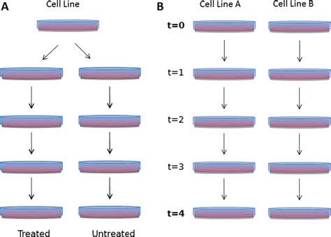 Two Commonly Used Experimental Designs A A Drug Sensitizing Study