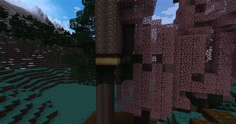 Worldedit Issue Using Forest Creates Floating Trees Rminecraft