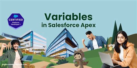 Variables In Apex Programming In Salesforce