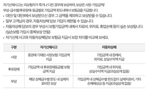 자동차 보험 자손과 자상 차이 2023년 기준 네이버 블로그