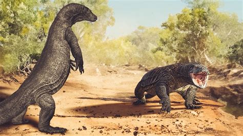 Megalania Abc Education