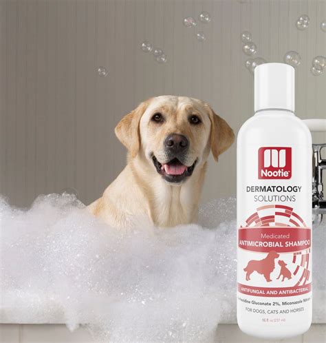 Medicated Dog Shampoo: Antifungal, Antibacterial Dog Shampoo – Lather ...