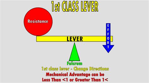 Common Examples Of A First Class Lever At James Wynn Blog
