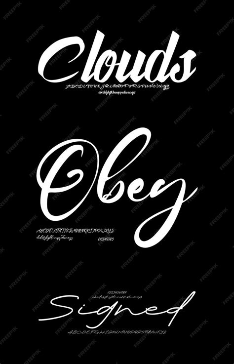 Premium Vector Decorative Script Creative Set Of Vector Brush Display
