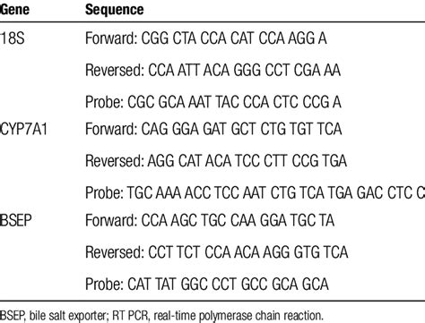 Primer Probe Sets Used For Rt Pcr Analysis Download Scientific Diagram