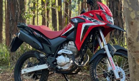 Recuperar Valor Da Xre Do Pedro Vaquinhas Online