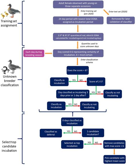 Flowchart Depicting The Joint Classifier Methodology Used To Classify