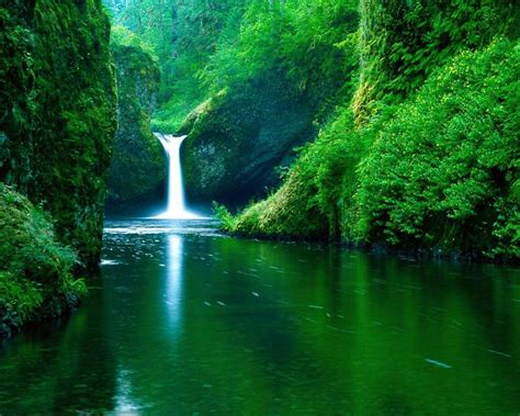 Peaceful Nature Wallpapers Top Free Peaceful Nature Backgrounds