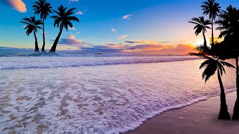 Playa Wallpaper Atardecer