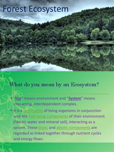 Forest Ecosystem Model