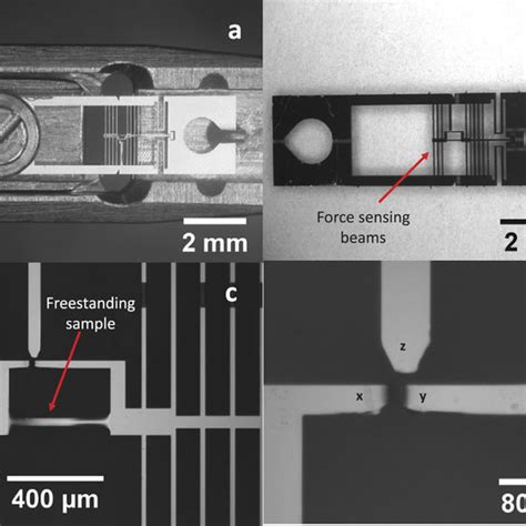 MEMS Device And Experimental Setup A Optical Micrograph Of A Download Scientific Diagram