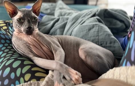 ნანიკო ხაზარაძე ნანიკო ხაზარაძე Added A New Photo