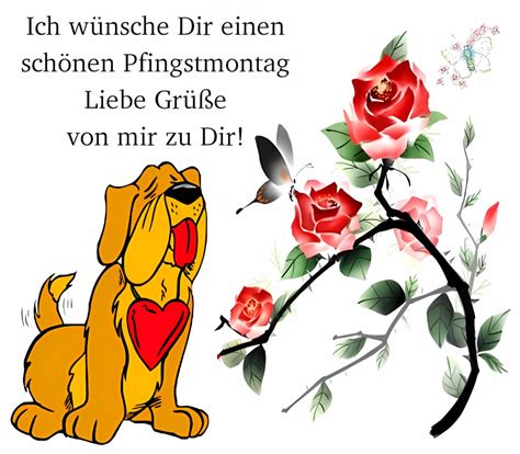 Pfingstmontag Bilder Für Whatsapp Und Zum Teilen Gbpicsonline