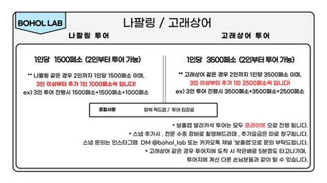 나팔링 투어 Bohollab