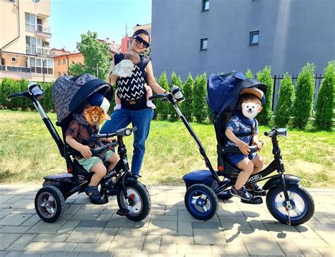 Ася Капчикова на разходка с трите дечица ето как се справя с три момчета Снимки За Жената