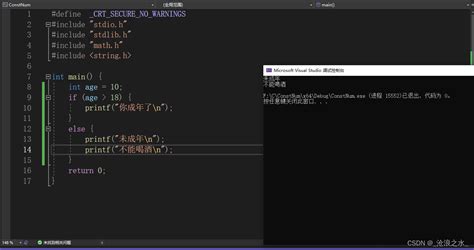 1 8 C语言分支循环语句 Csdn博客