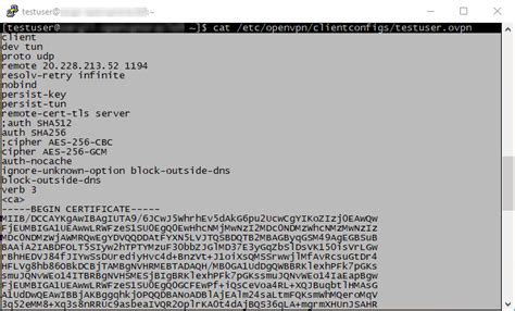 usage guidelines oracle 9 minimal with vpn server virtual pulse s r