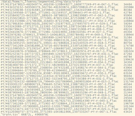 Wav Vec Model VALID WER Cannot Go Down After Reaching When Fine Tuneing With Own Dataset