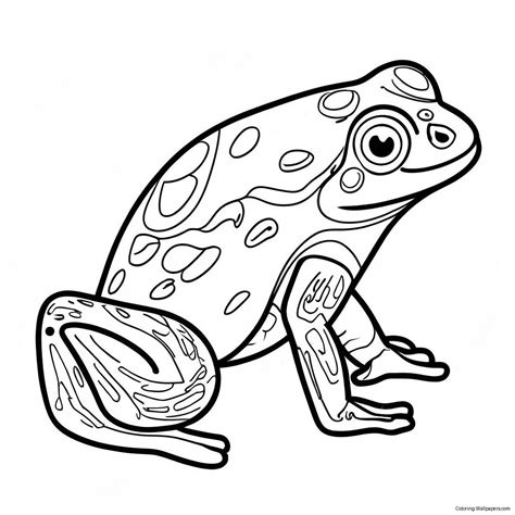 Amphibian Coloring Page