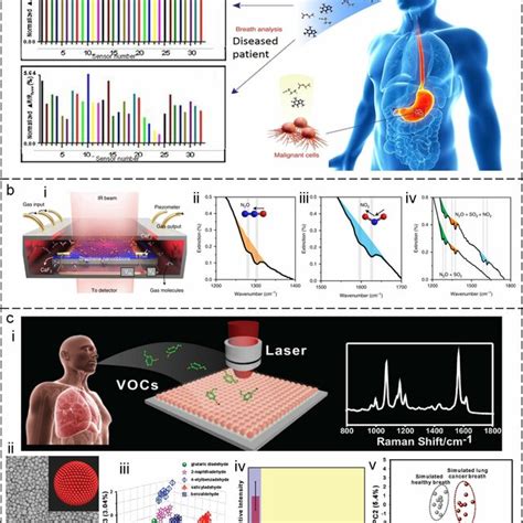 Multimodal Sensors And Ml Base Data Fusion A Bioinspired Data Fusion Download Scientific