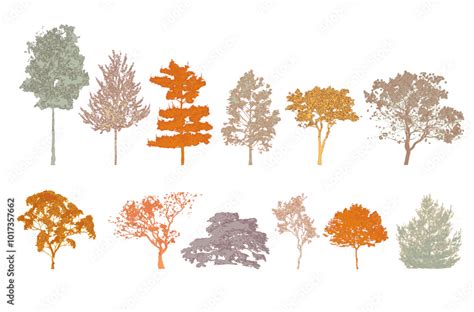 Minimal Style Cad Tree Line Drawing Side View Set Of Graphics Trees Elements Outline Symbol
