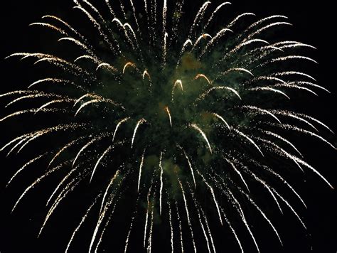 Gender Identity And Expression 🌎 — Axonify Content Marketplace