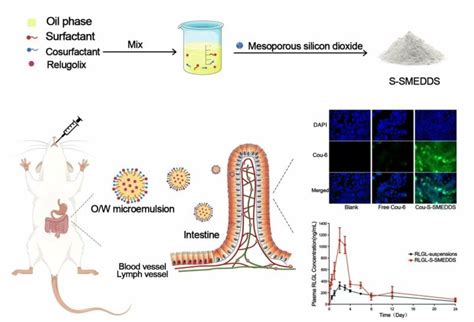 Solid Self Microemulsifying Drug Delivery System For Improved Oral… Aren Dabaghian