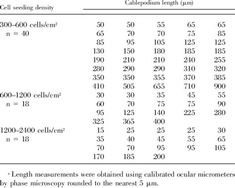 Effect Of Cell Seeding Density On Cablepodium Length 10 D After