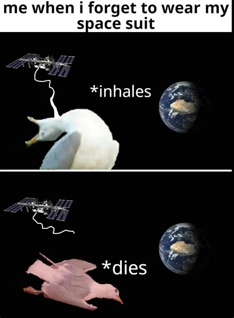 Rookie Mistake Scrolller