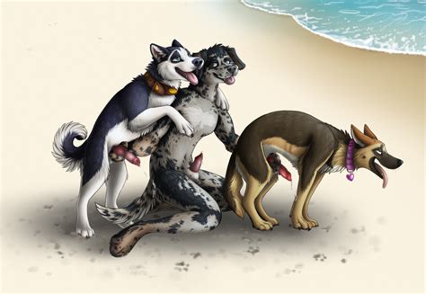 Rule 34 All Fours Animal Genitalia Animal Penis Anthro Anthro On