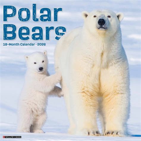 Biggest Polar Bear In The World