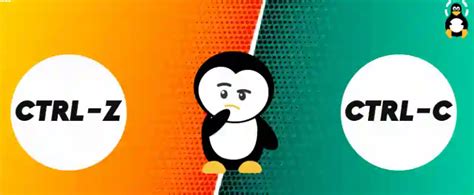 Automate Your Infrastructure With Ansible A Step By Step Guide By Prateek Srivastava Devops Dev