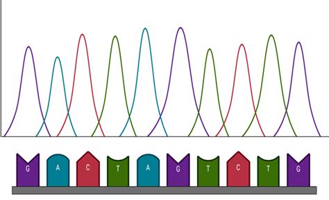Bioinformatics And Sequencing Services Apawork