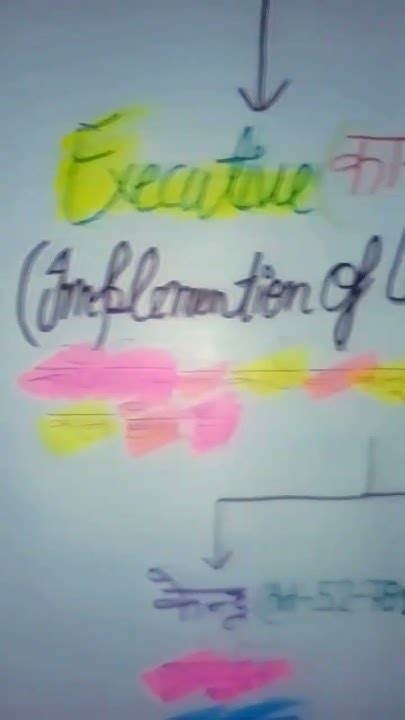 Constitution Youtube