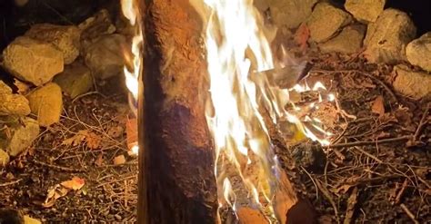 가족 활동 강장제 고요함 광야 나무 난방 담배를 피우다 돌 뒤뜰 따뜻함 딱딱 거리다 마시멜로 모닥불 모임 바위 밤 밤 야외 밤에 밤하늘 불