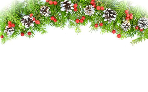 원두로 장식 된 눈 덮인 전나무 가지의 크리스마스 화환 흰색 배경에 붉은 열매 공간을 복사합니다 0명에 대한 스톡 사진 및 기타 이미지 Istock