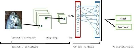 The Functions Of The Layers In The Cnn Download Scientific Diagram