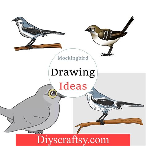 10 Mockingbird Drawing Ideas How To Draw Mockingbird Diyscraftsy