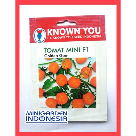 Jual Tomat Mini Golden Gem Pack Kecil 50 Benih Biji Tomat Cherry Orange F1 Unggul Known You Seed