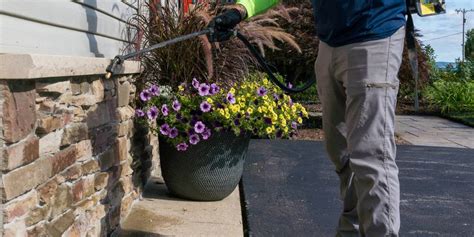 What Is Perimeter Pest Control For A Home And Is It Worth The Cost