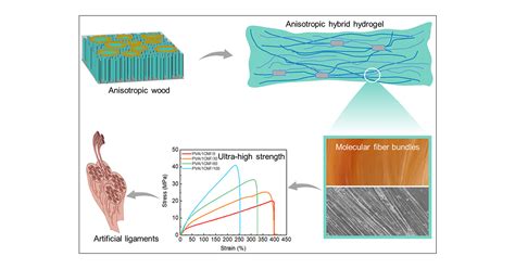 Natural Wood Inspired Ultrastrong Anisotropic Hybrid Hydrogels Targeting Artificial Tendons Or