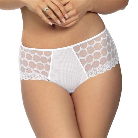 Sheer Panties Womens See Through Panties Free Shipping Lavinia