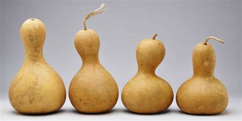 Premium Bottle Gourds Welburn Gourd Farm