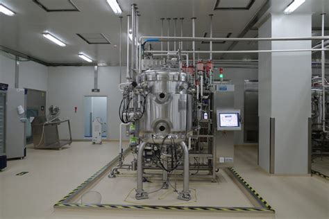 Bioreactor Scale Up A Key Aspect In Biotechnology