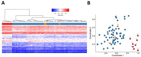 Dna Methylation Signature For Jarid2 Neurodevelopmental Syndrome